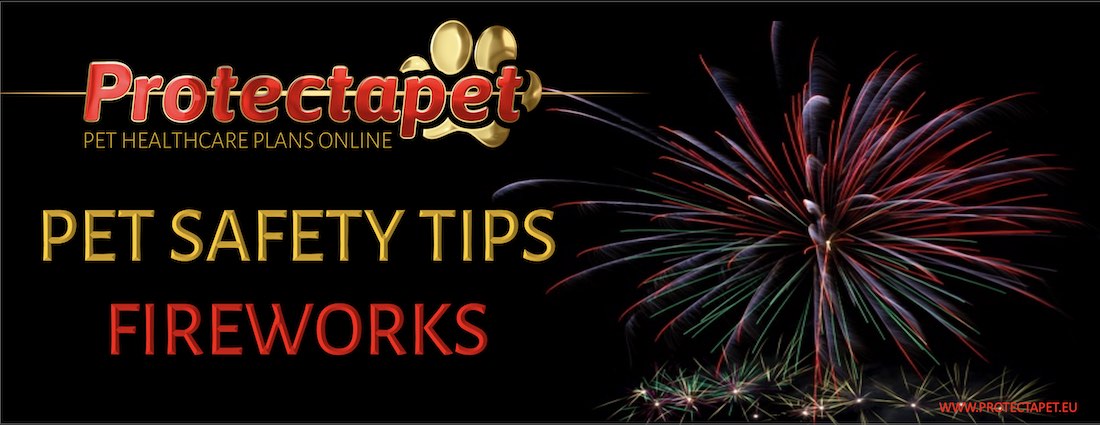 PROTECTAPET | Pet Safety tips for Fireworks in Spain